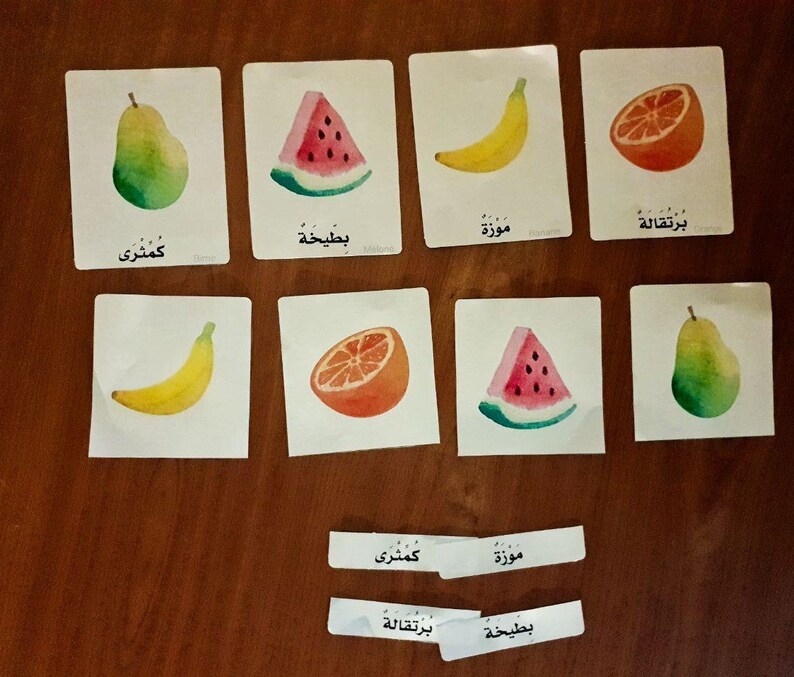 12 Large FRUITS in Arabic English Montessori Cards Flash - Etsy