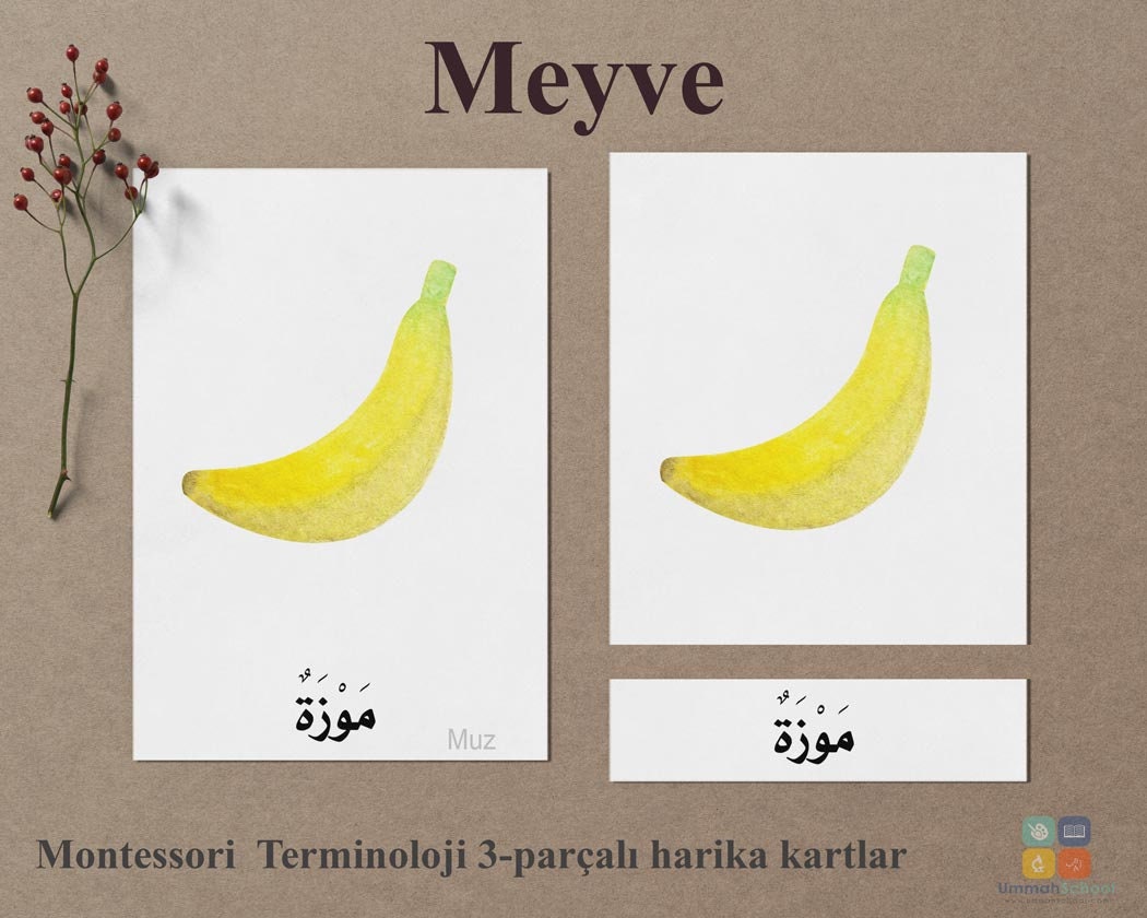 12 Arabic Turkish FRUITS Montessori Cards Flash Cards - Etsy Canada