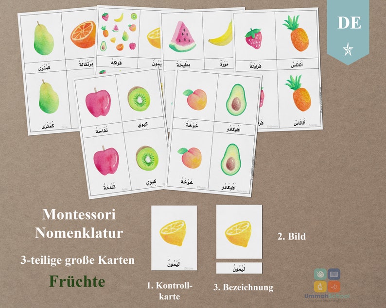 Big FRUITS in Arabic German Montessori Cards Flash Cards - Etsy