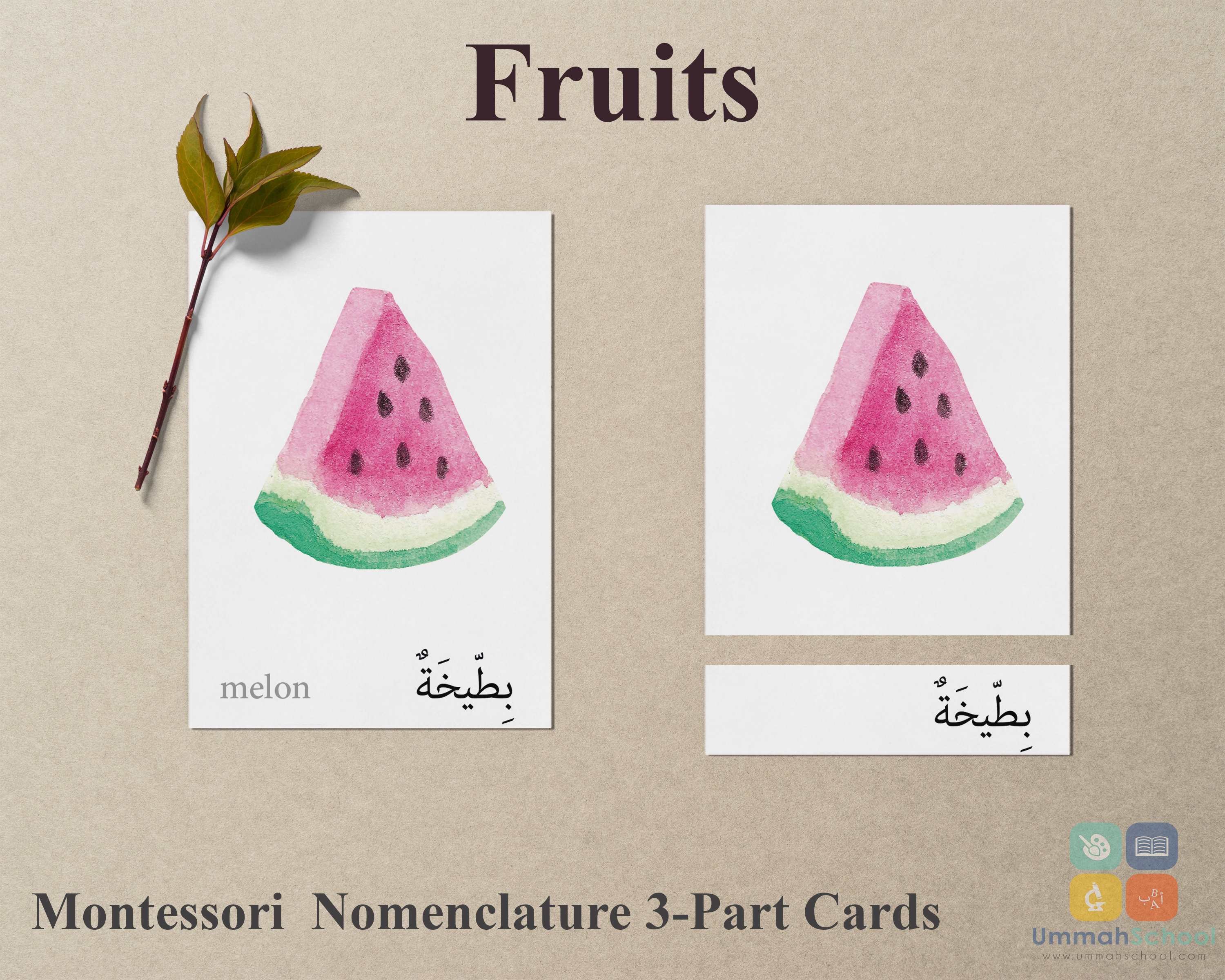 FRUITS in Arabic English Montessori Cards Flash Cards Three Part Cards ...