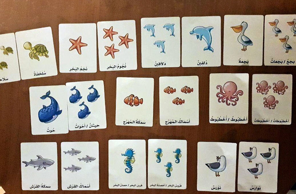Sea Animals in Arabic Singular & Plural Montessori Cards - Etsy
