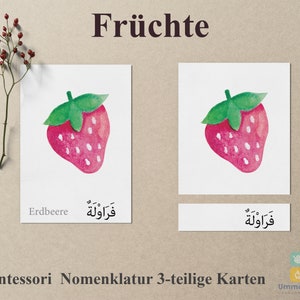 12 FRUITS in Arabic German Montessori Cards Flash Cards Three Part ...