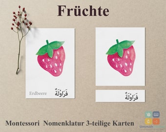 FRUITS in Arabic English Montessori Cards Flash Cards - Etsy