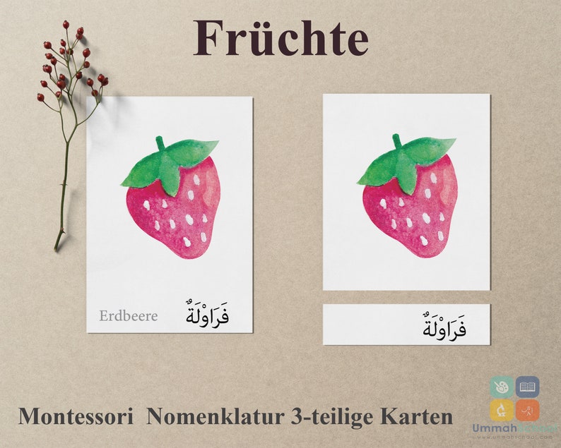 12 FRUITS in Arabic - German • Montessori Cards • Flash Cards • Three ...