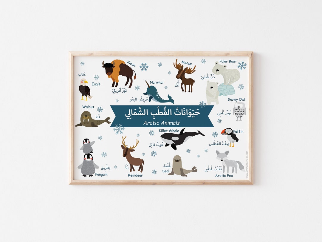Arctic Animals in Arabic - English for Children Education Poster ...