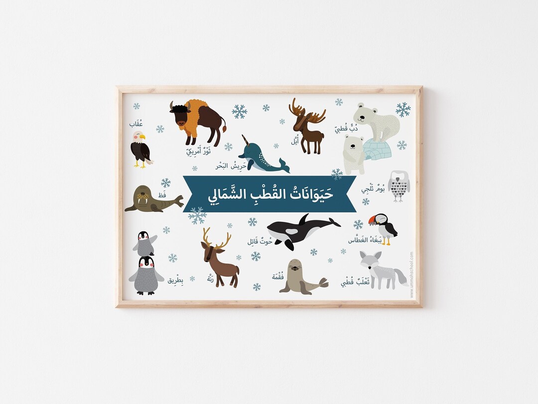 Arctic Animals Only in Arabic for Children Education Poster - Etsy