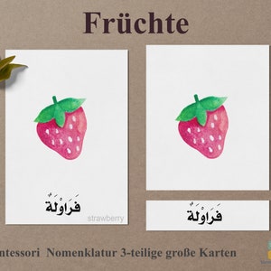 Big FRUITS in Arabic - German • Montessori Cards • Flash Cards • Three ...