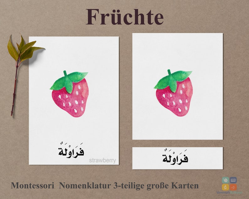 Big FRUITS in Arabic German Montessori Cards Flash Cards - Etsy