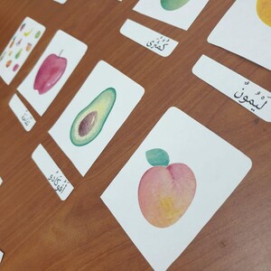 FRUITS in Arabic English Montessori Cards Flash Cards Three Part Cards ...