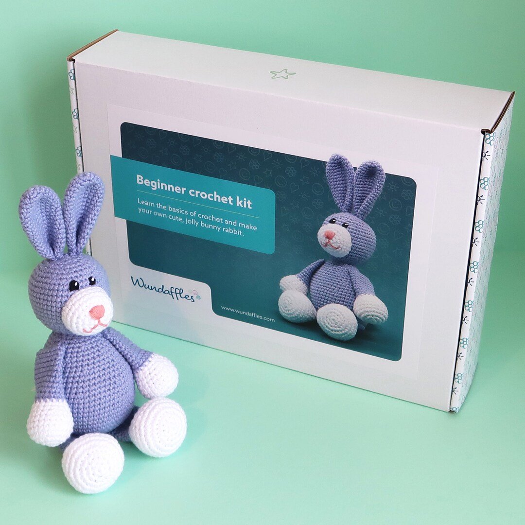 Beginner Crochet Kit, Rabbit Craft Set, Bunny DIY Amigurumi Character ...