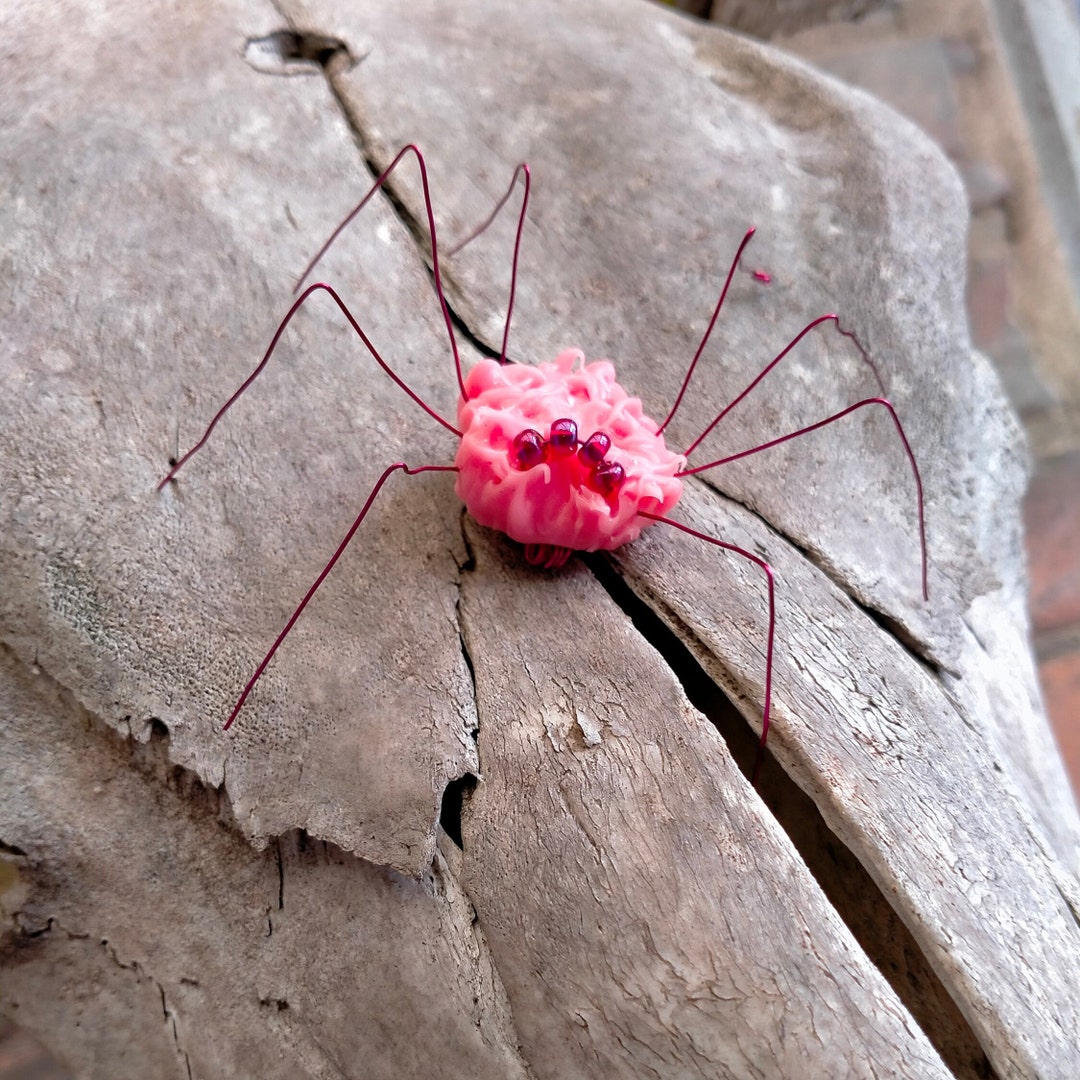 Spider Sammi... to Hang up and Stand Up - Etsy