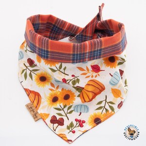 Personalized Fall Dog Bandana: Reversible Pumpkin Plaid, Embroidered ...