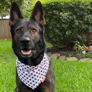 Patriotic USA Dog Bandana, Red White and Blue Dog Bandana, Personalized ...