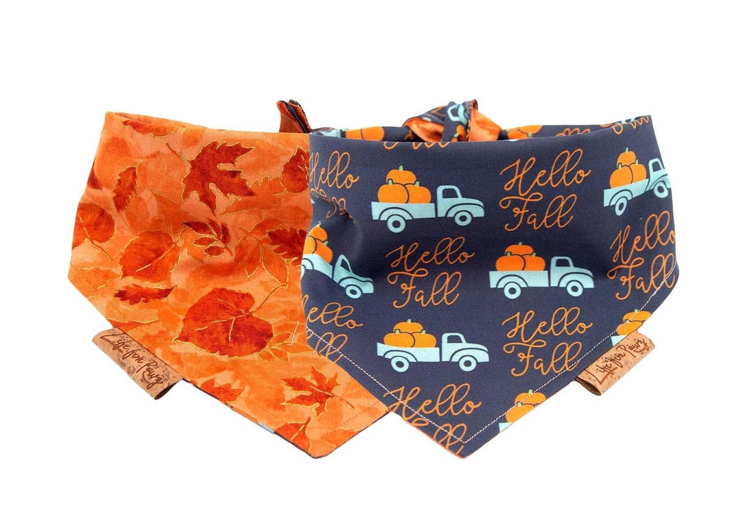 Fall Dog Bandana, Hello Harvest, Reversible Bandana for Dogs, Tie and ...