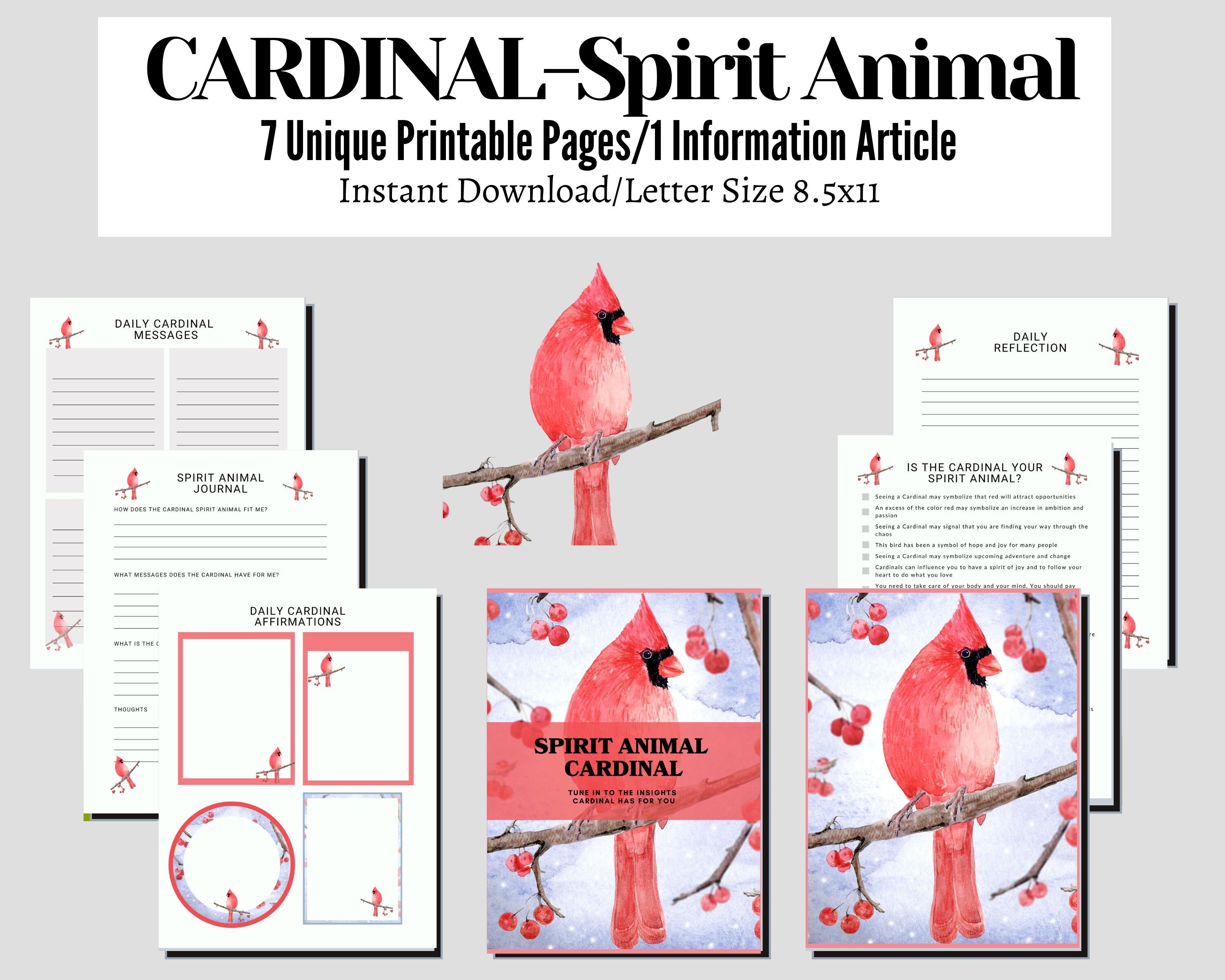 Cardinal, My Spirit Animal, Spirit Guide, Cardinal Spirt Animal ...