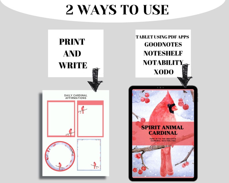 Cardinal, My Spirit Animal, Spirit Guide, Cardinal Spirt Animal ...