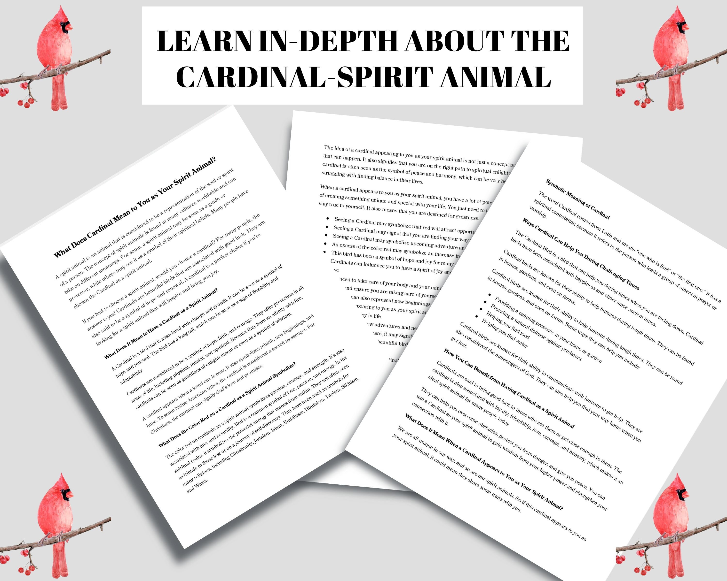 Cardinal, My Spirit Animal, Spirit Guide, Cardinal Spirt Animal ...