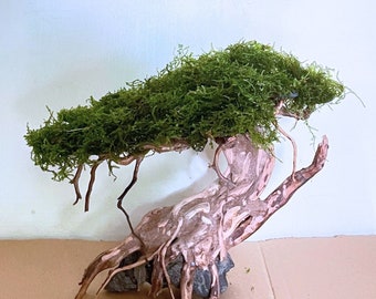 Aquarium Moss Driftwood Bonsai Tree , Weeping Java Moss Drift Wood ...