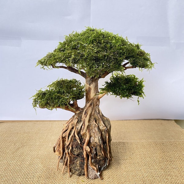 Miniature Aquarium - Etsy