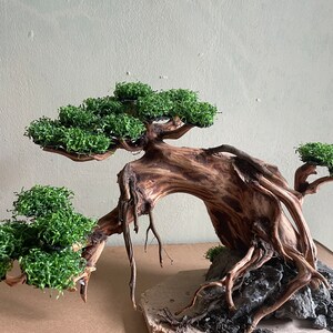 Driftwood Moss Aquarium Bonsai Mini, Aquascape Drift Wood Bonsai Java Moss, Terrarium Aquarium ...