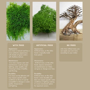 Driftwood Bonsai Tree Live Moss, Aquarium Java Moss Drift Wood Bonsai ...