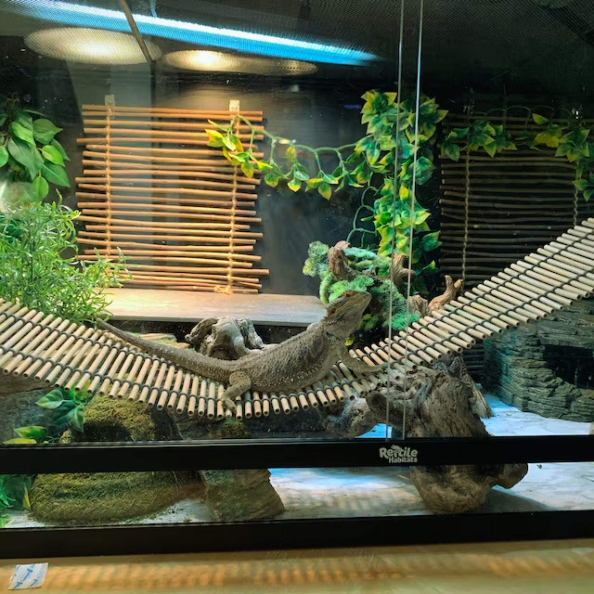 Lace Monitor Enclosure