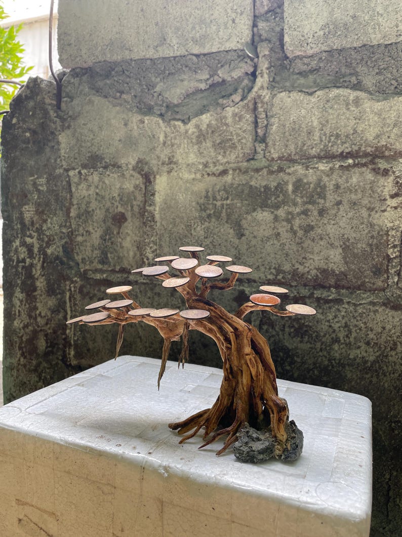 Aquarium Driftwood Moss, Aquascape Spider Wood, Drift Wood Root Bonsai ...