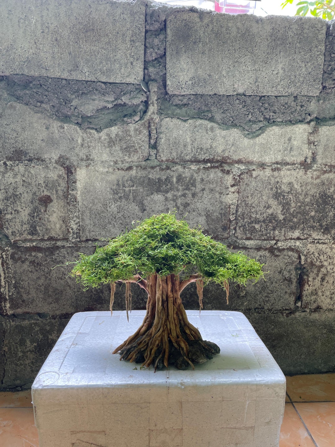 Aquarium Driftwood Moss, Aquascape Bonsai Mini, Drift Wood Root Bonsai Java Moss, Terrarium ...