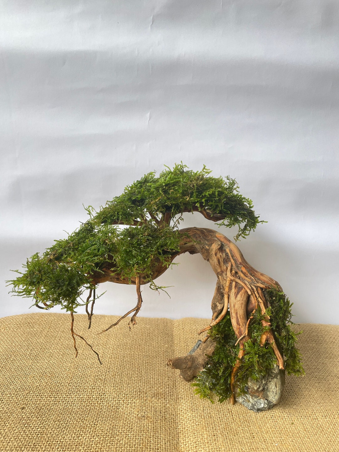 Driftwood Bonsai Tree Aquascape Decor, Java Moss Drift Wood Bonsai ...
