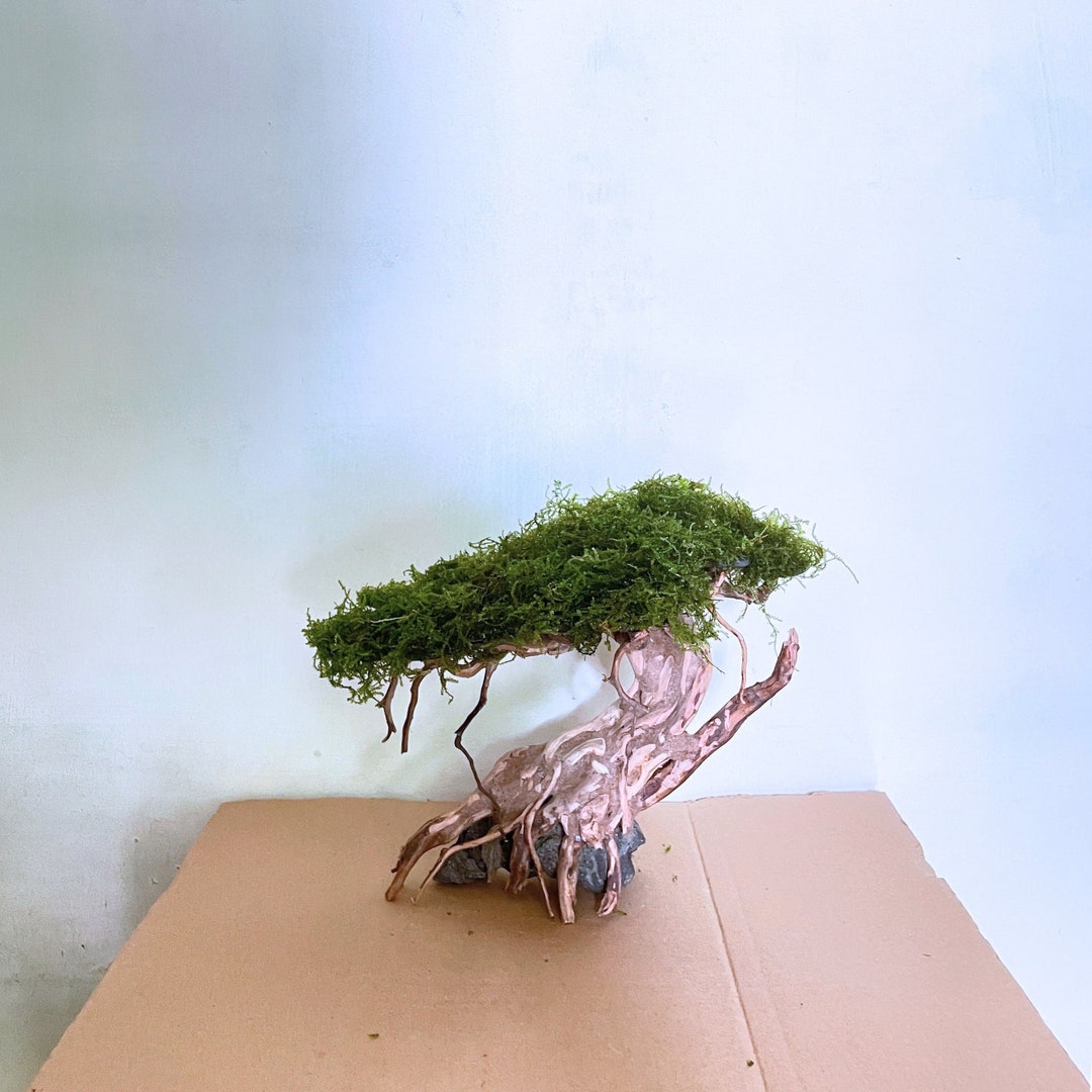 Bonsai Tree Moss Aquarium Driftwood, Java Moss Drift Wood Bonsai ...