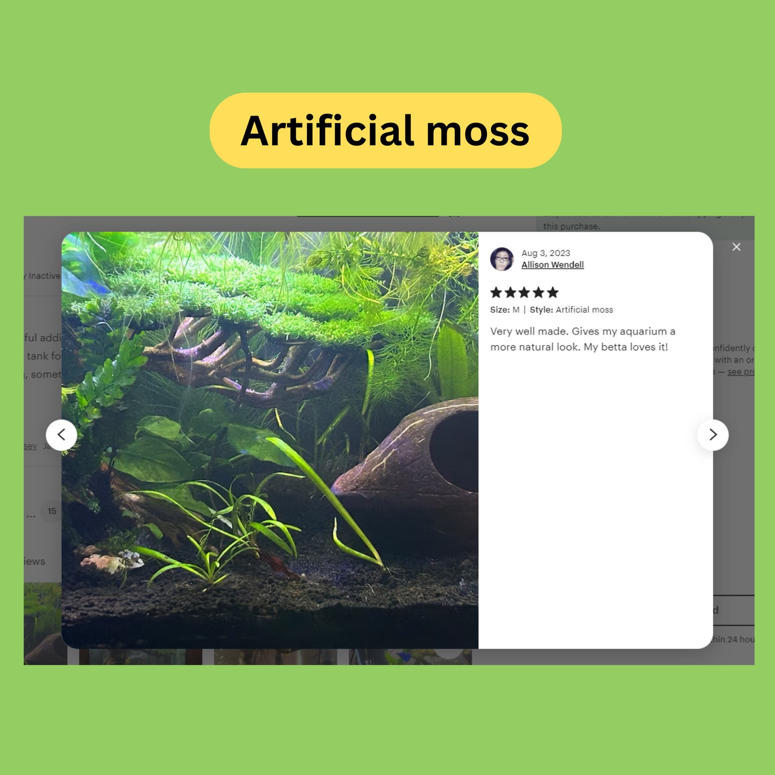 Driftwood Bonsai Tree Aquarium, Java Moss Drift Wood Bonsai, Terrarium ...