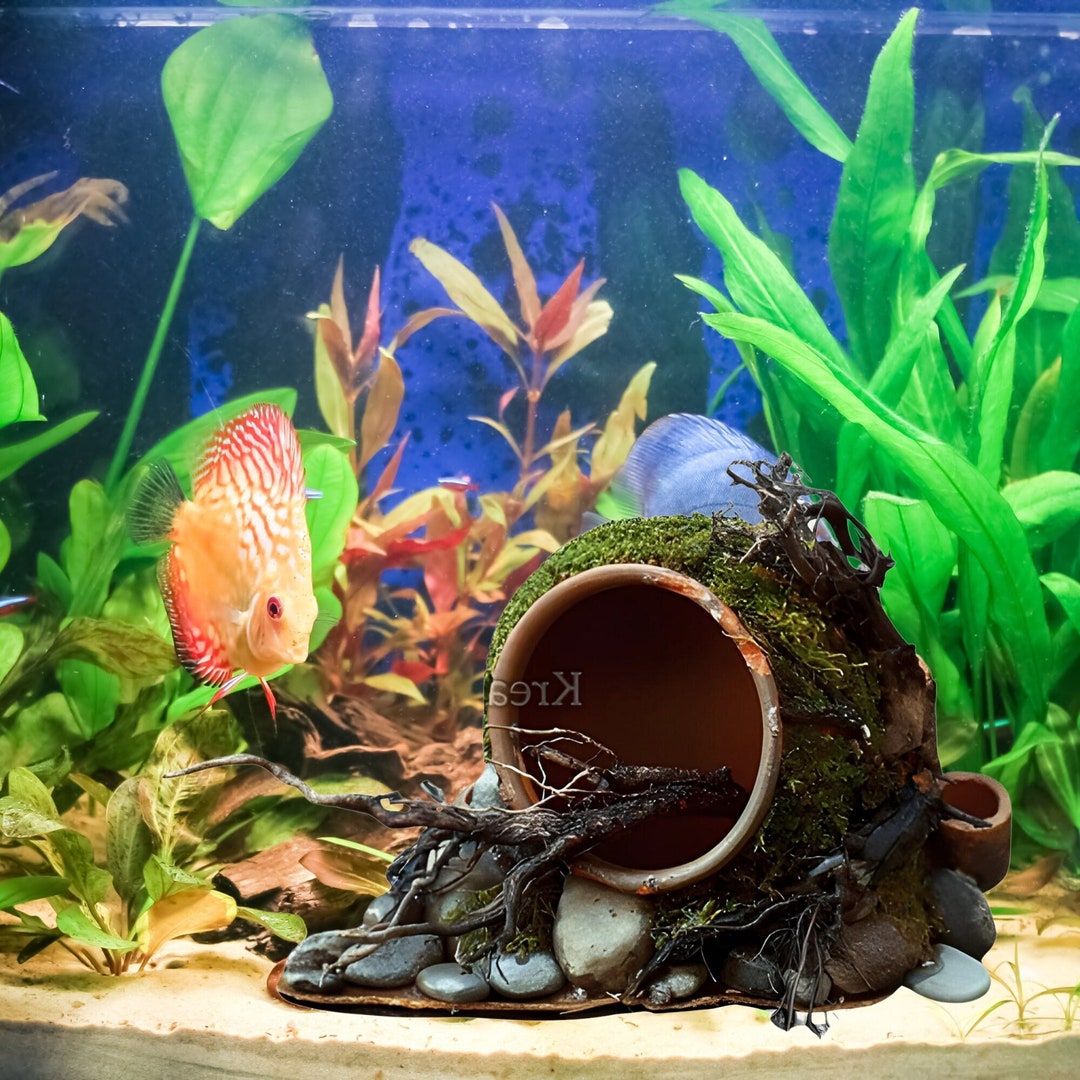 Aquarium Underground Cave Natural Driftwood Shrimp and Fish Cave ...