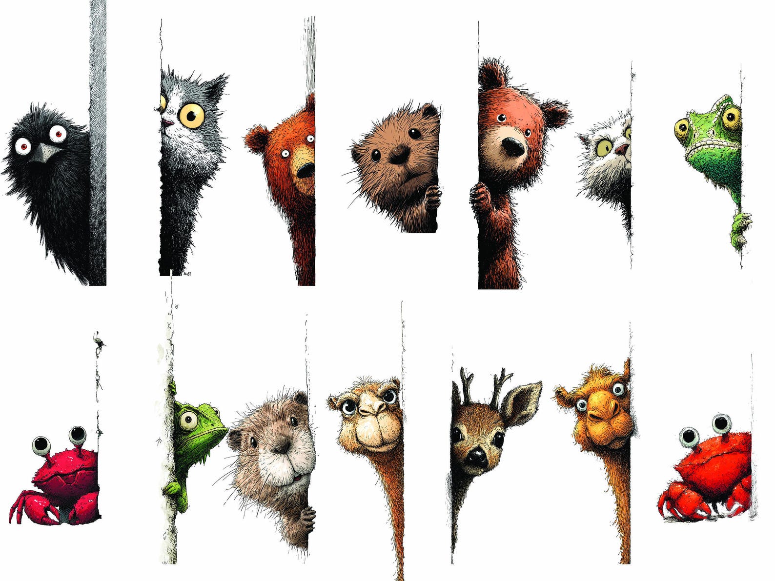 Cute Peeking Animal Clipart Bundle, Minimal Comic Style Animals PNG ...