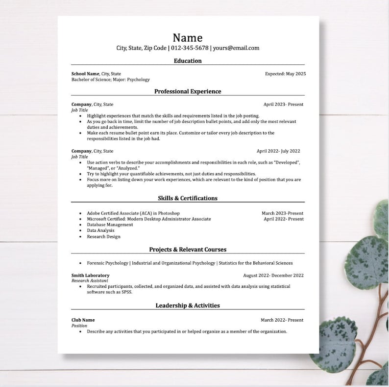 Professional Student & Graduate Resume Template | Microsoft Word ...