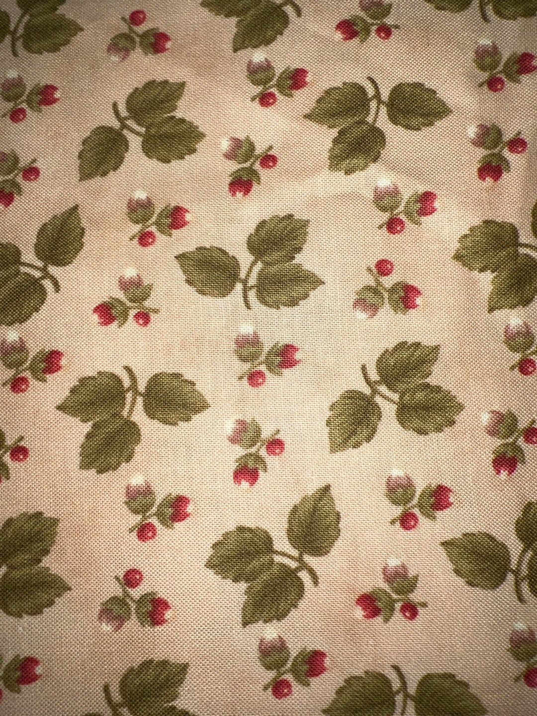 1/2 Yd cornucopia by Joanna Figueroa & Lisa Quan Fig Tree for Moda ...