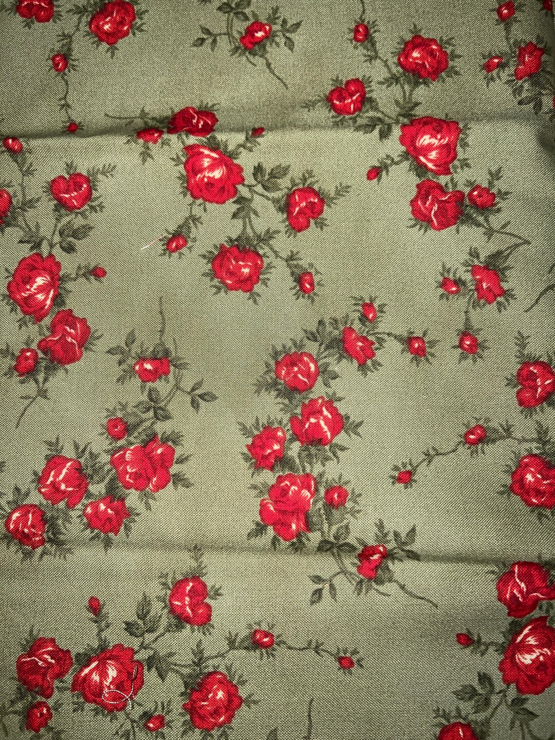 3/4 Yd morning Glory by Robyn Pandolph Floral Print Cotton Fabric for ...