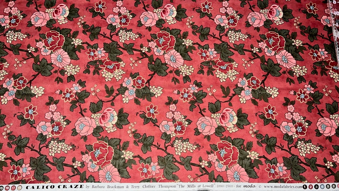 1/2 Yd Calico Craze ” 1880-1900 Reproduction Print by Barbara Brackman ...