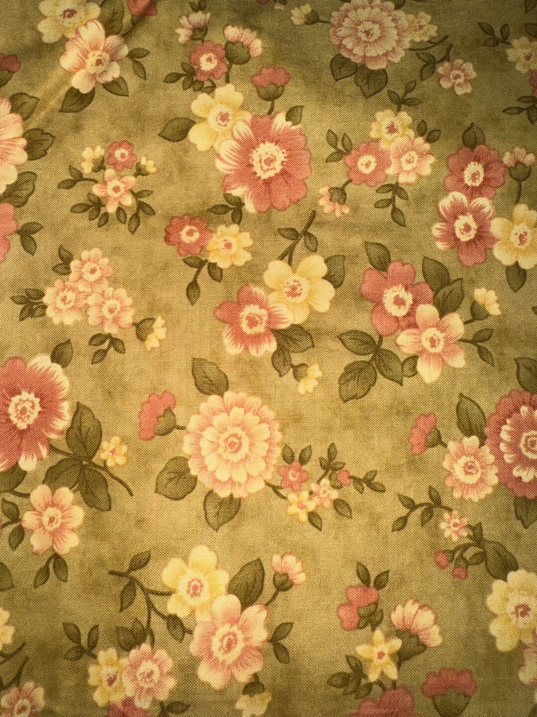 1/2 Yd cinnamon Stars by Joanna Figueroa & Lisa Quan Fig Tree for Moda ...