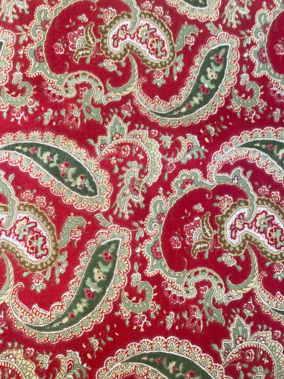 1/2 Yd Holly Go Lightly Paisley Print Cotton Fabric by Robyn Randolph ...
