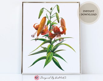 Tiger Lily Poster | Etsy