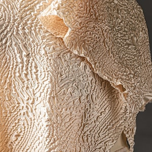 Camel Pleated Fabric- Concave Convex Texture Fabric- Corrugated ...
