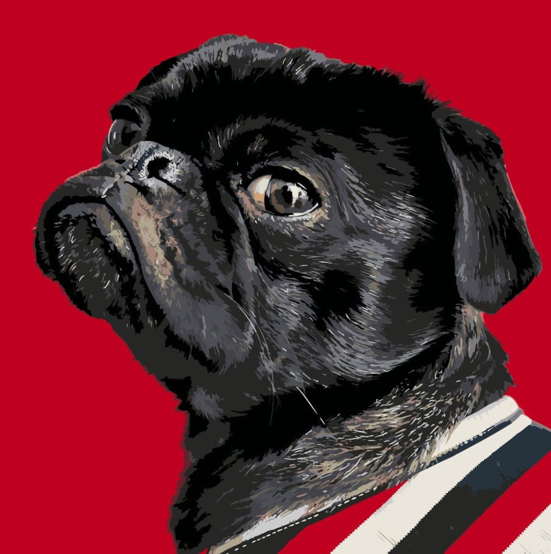 Black Pug On Red Background, Paint by Number Kit, DOG-1 Shipping from ...
