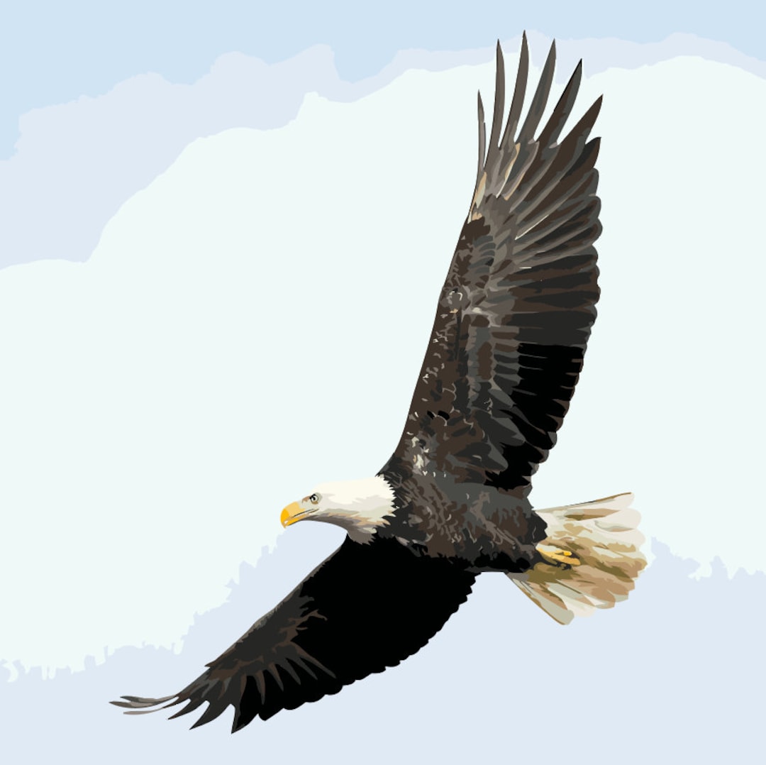 Flying Eagle, Paint by Number Kit, BIR-7 Shipping From US, DIY Acrylic ...