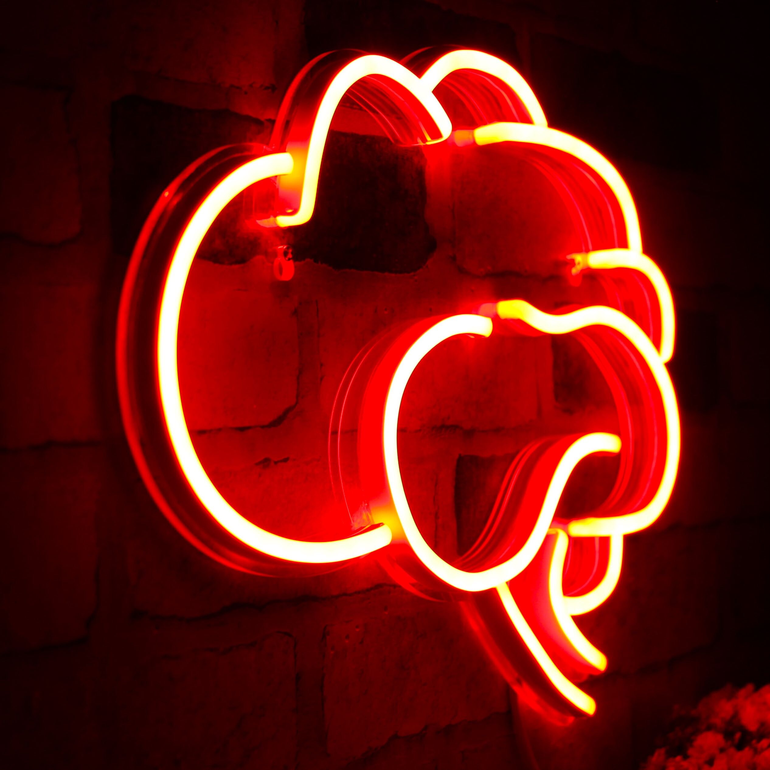 Brain Decoration Flex Silicone LED Neon Sign St16-fnu0063 | Etsy