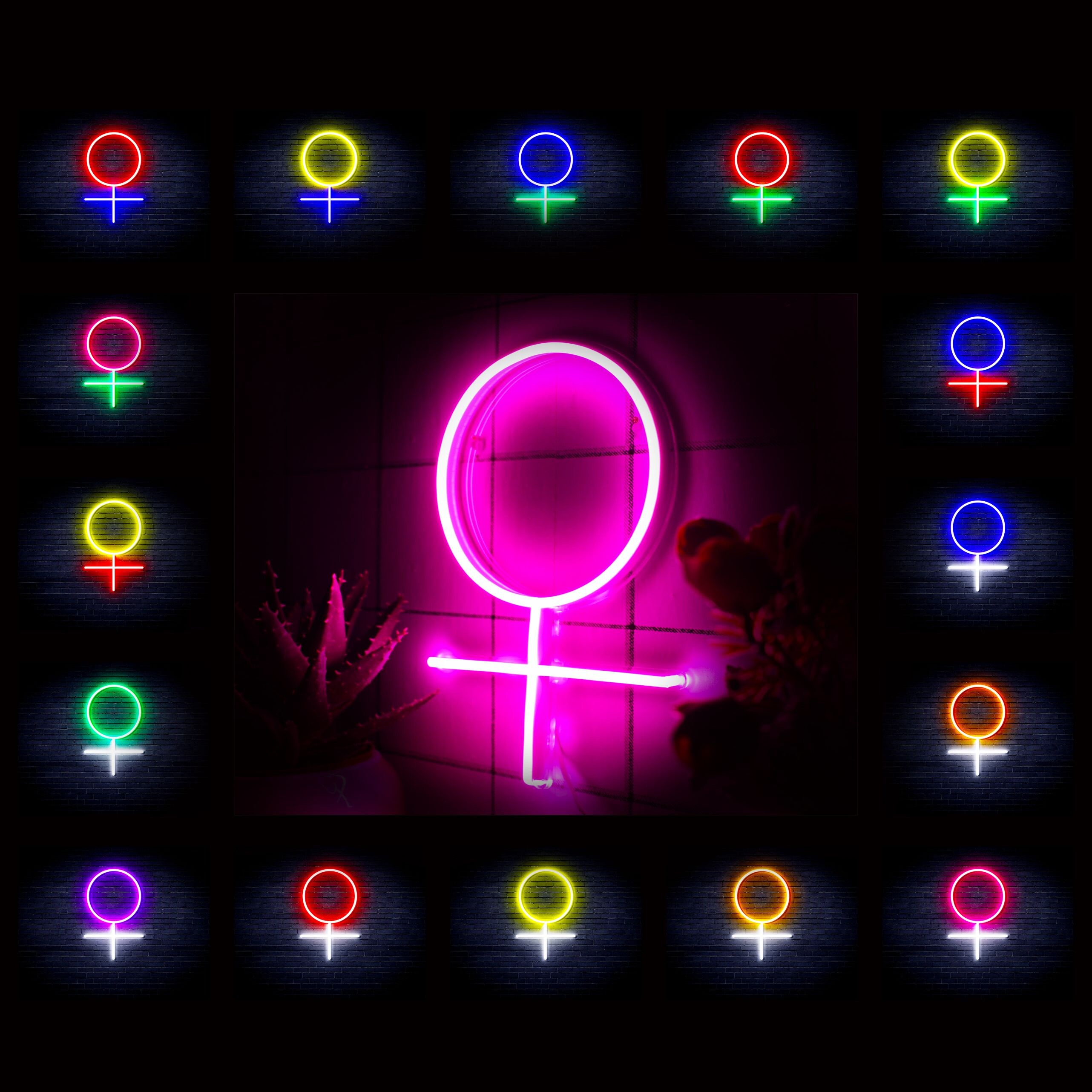 Female Symbol Decoration Flex Silicone LED Neon Sign | Etsy