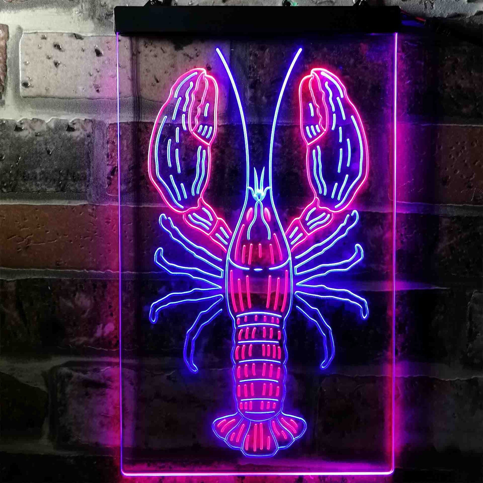 Salmon Fish Dual Color LED Neon Sign St6-i3721 | Etsy