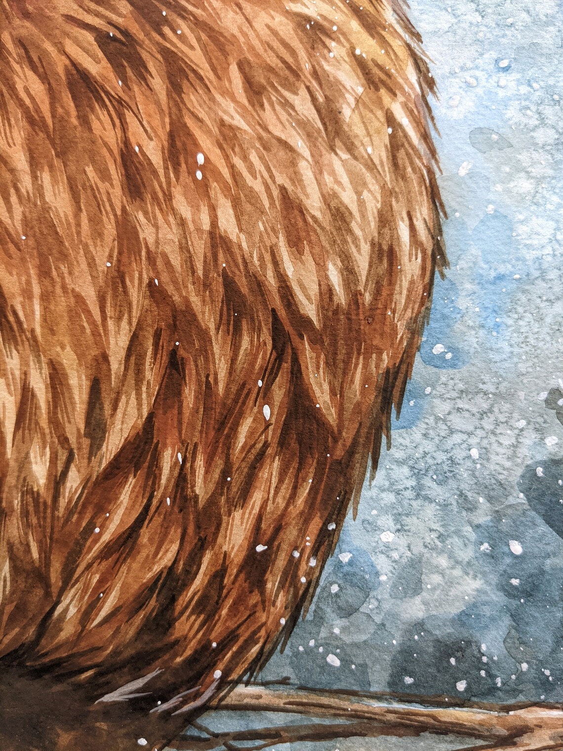 Original Watercolor Beaver Painting: Canadian Wildlife Art - Etsy Canada