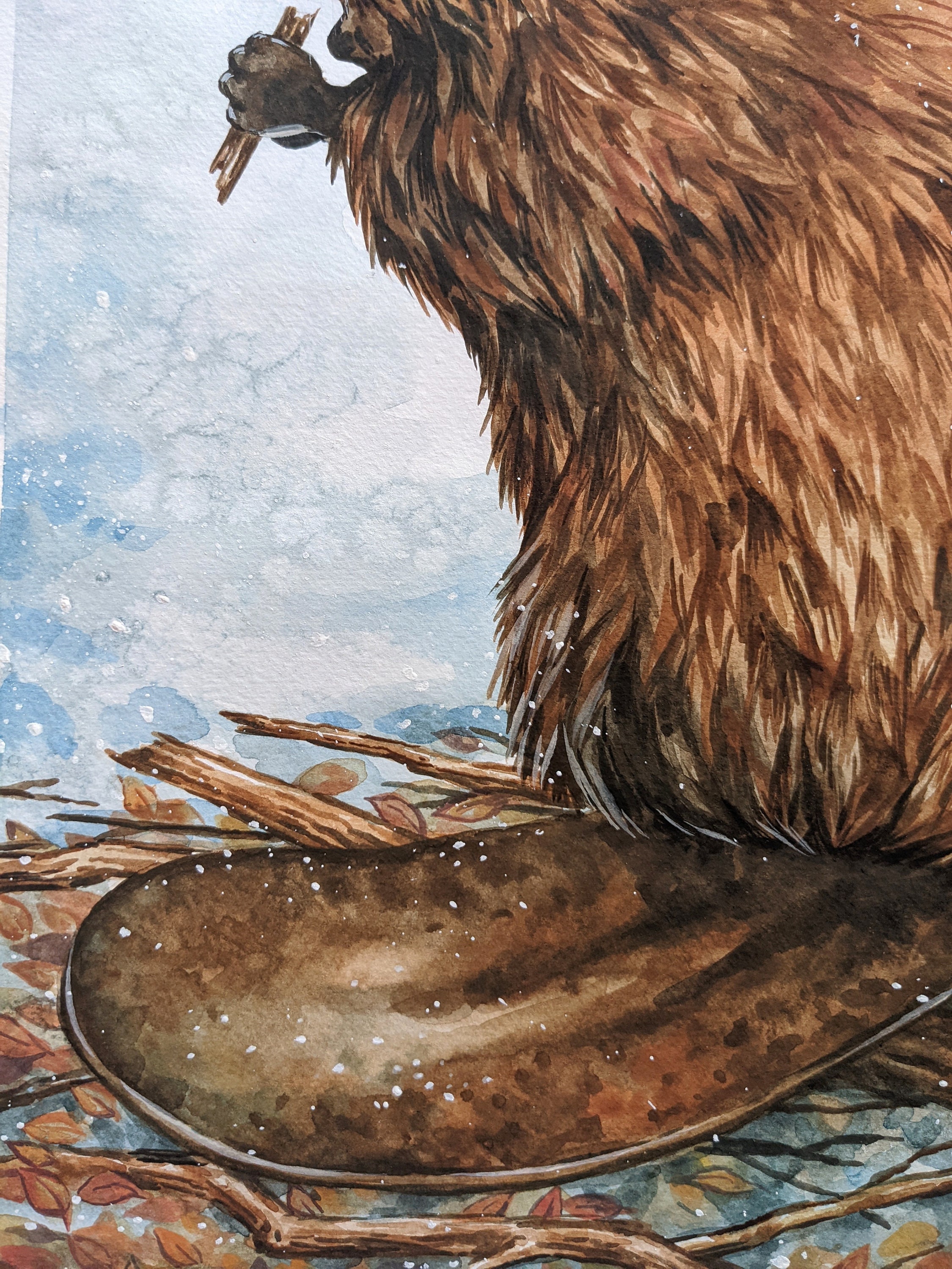 Original Watercolor Beaver Painting: Canadian Wildlife Art - Etsy Canada
