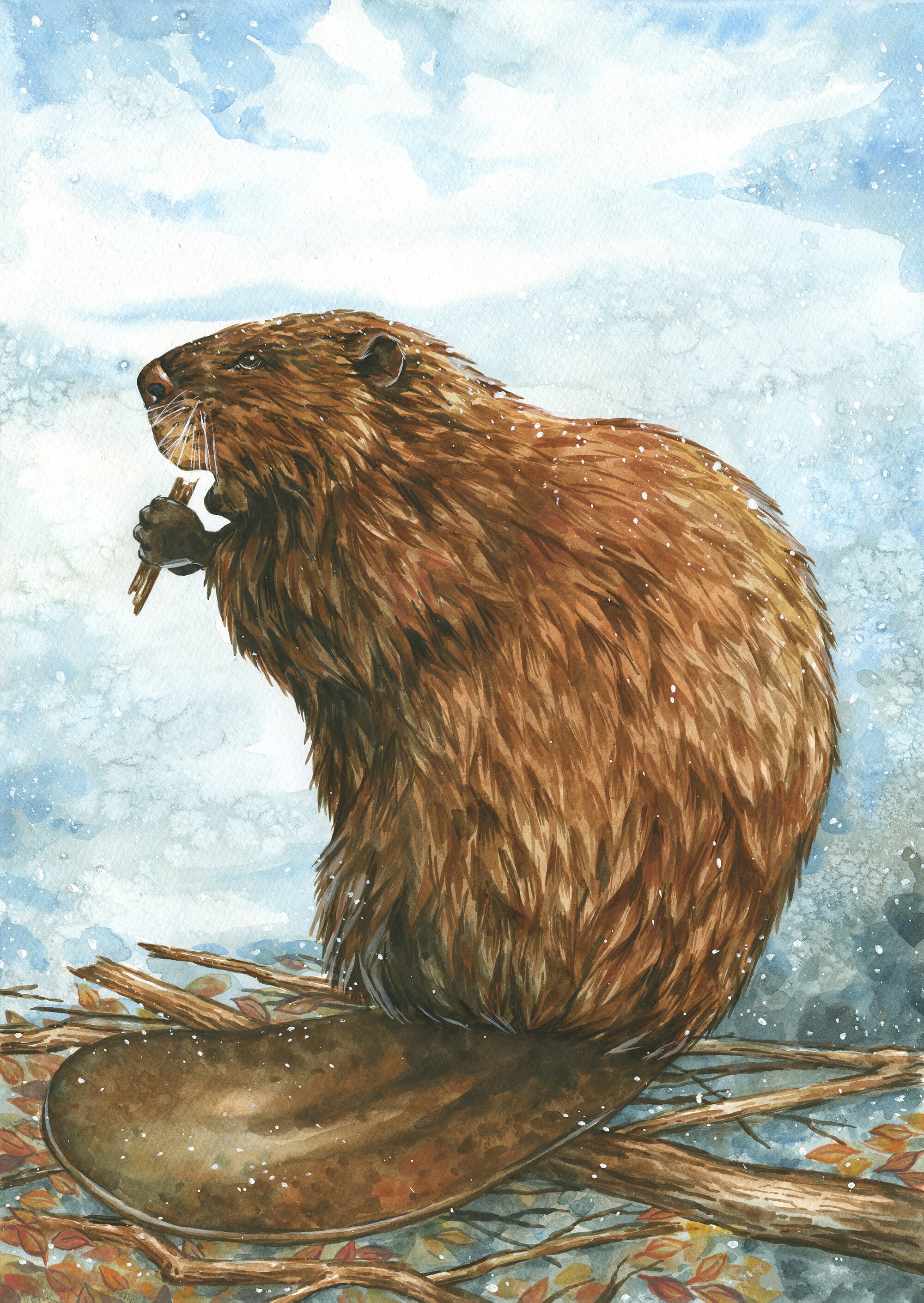 Beaver Art Print Watercolor Poster Aquarelle Animal Art Gouache Wall ...