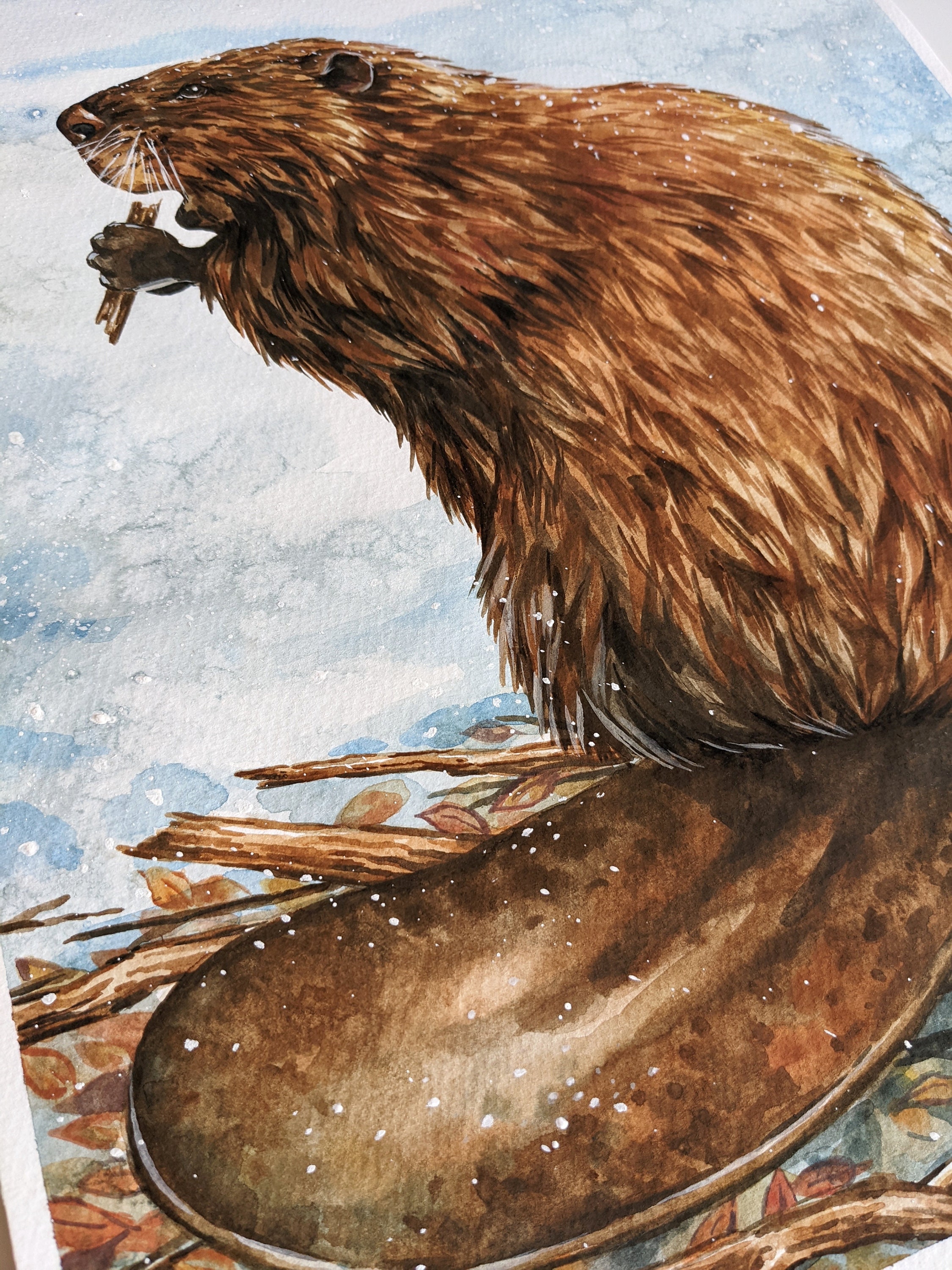 Original Watercolor Beaver Painting: Canadian Wildlife Art - Etsy Canada